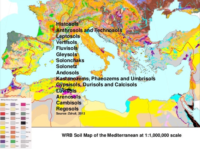 Land and soil resources of the Mediterranean and their impact on futu…