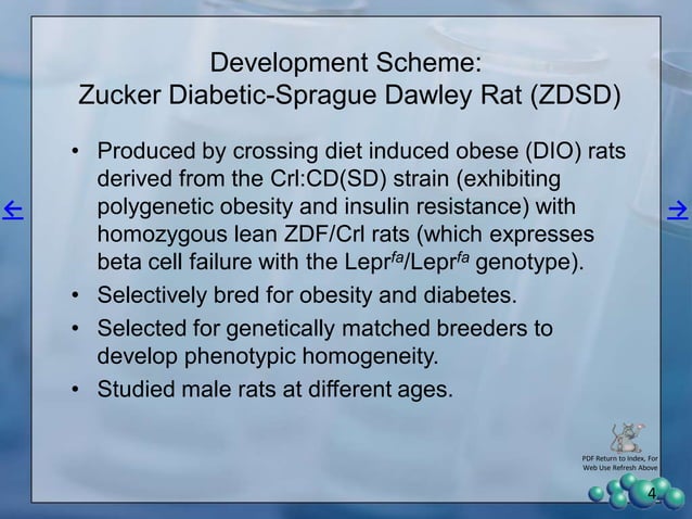 ZDSD Overview a model of obesity, metabolic syndrome and diabetes, 28 ...