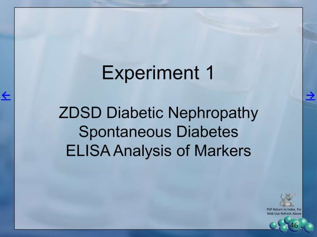 ZDSD Overview a model of obesity, metabolic syndrome and diabetes, 28 ...