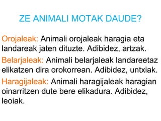 Ze animali motak daude? eritz | PPT