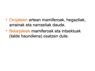 Ze animali motak daude? eritz | PPT