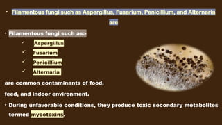 Zearalenone & zearalenol mycotoxins.pptx