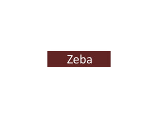 Zeba design services final | PPTX