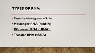 Structure and biological properties of RNA.pptx