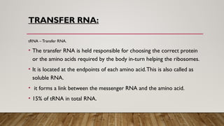 Structure and biological properties of RNA.pptx