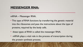 Structure and biological properties of RNA.pptx