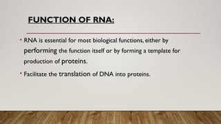 Structure and biological properties of RNA.pptx