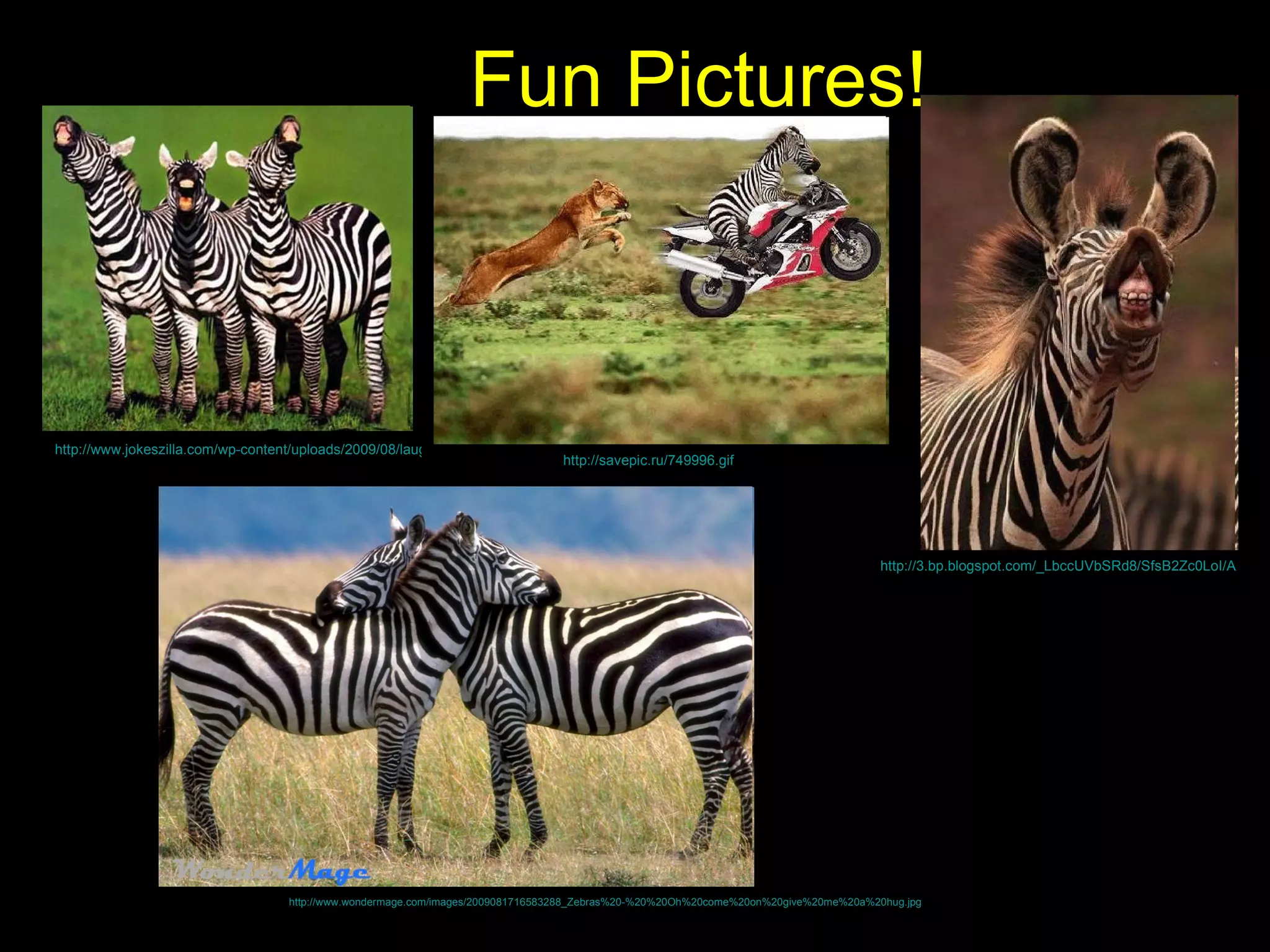 Mallory Anderson period 1, Zebra | PPT