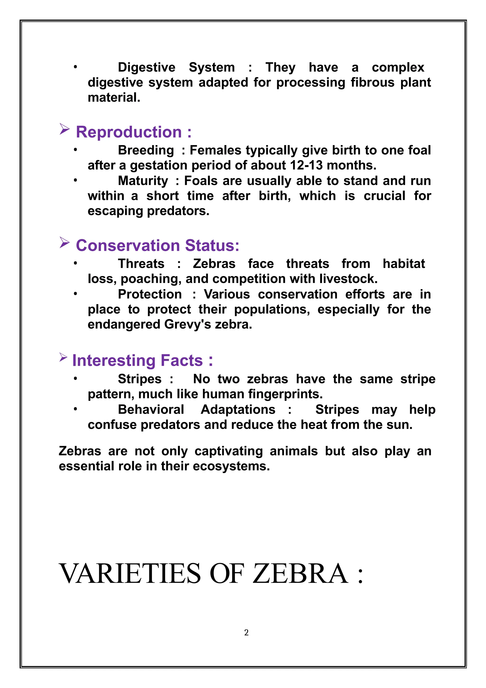 zebra and its respiratory systemand explanation | PPTX