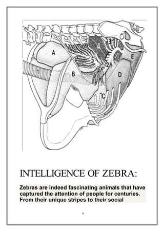zebra and its respiratory systemand explanation | PPTX