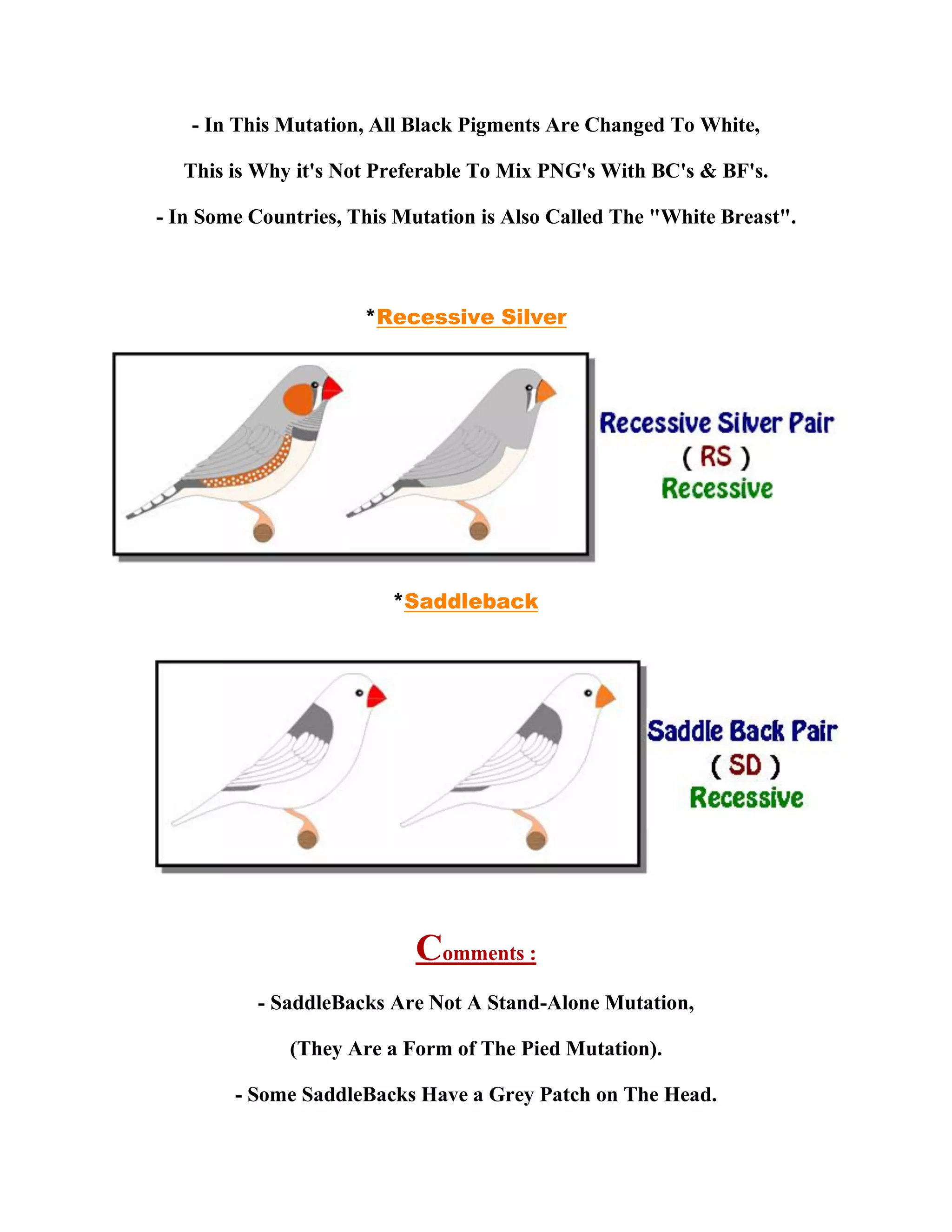 Zebra Finch Mutations