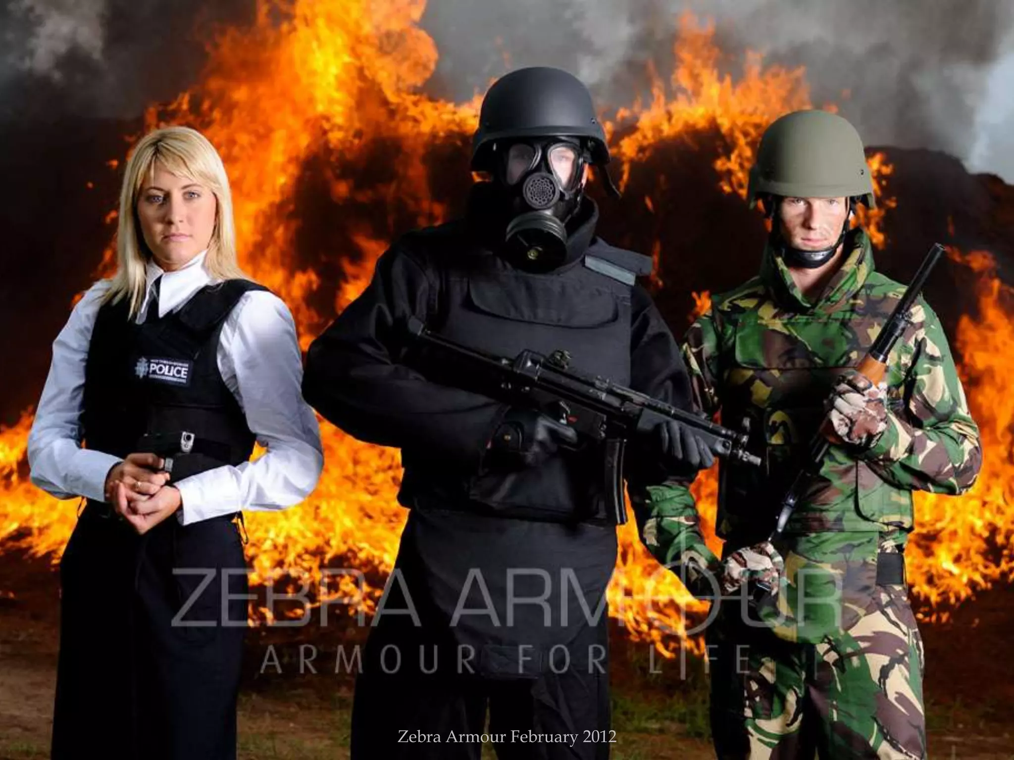 Zebra Armour Presentation 1 | PPTX