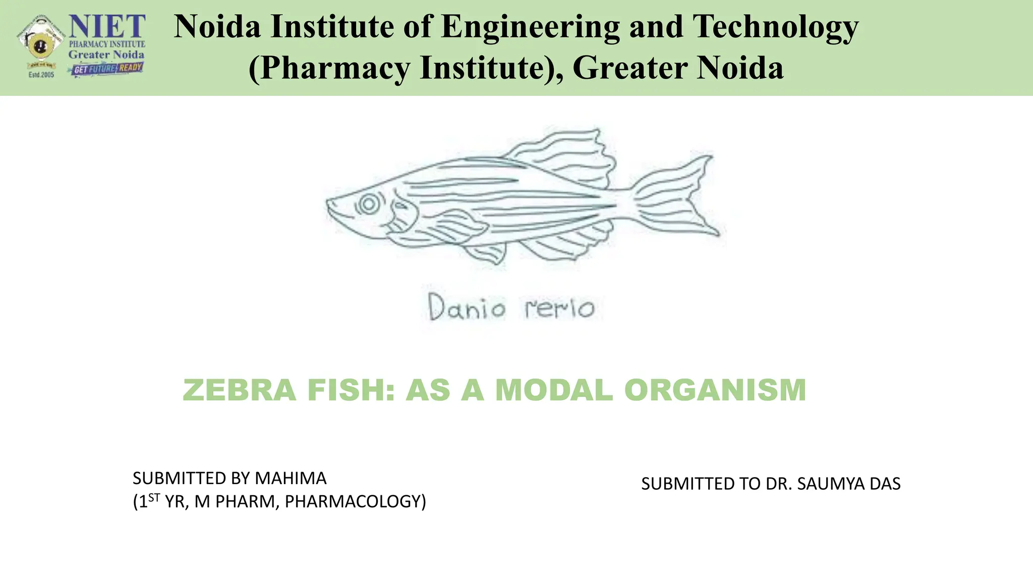 ZEBRA FISH: as model organism.pptx