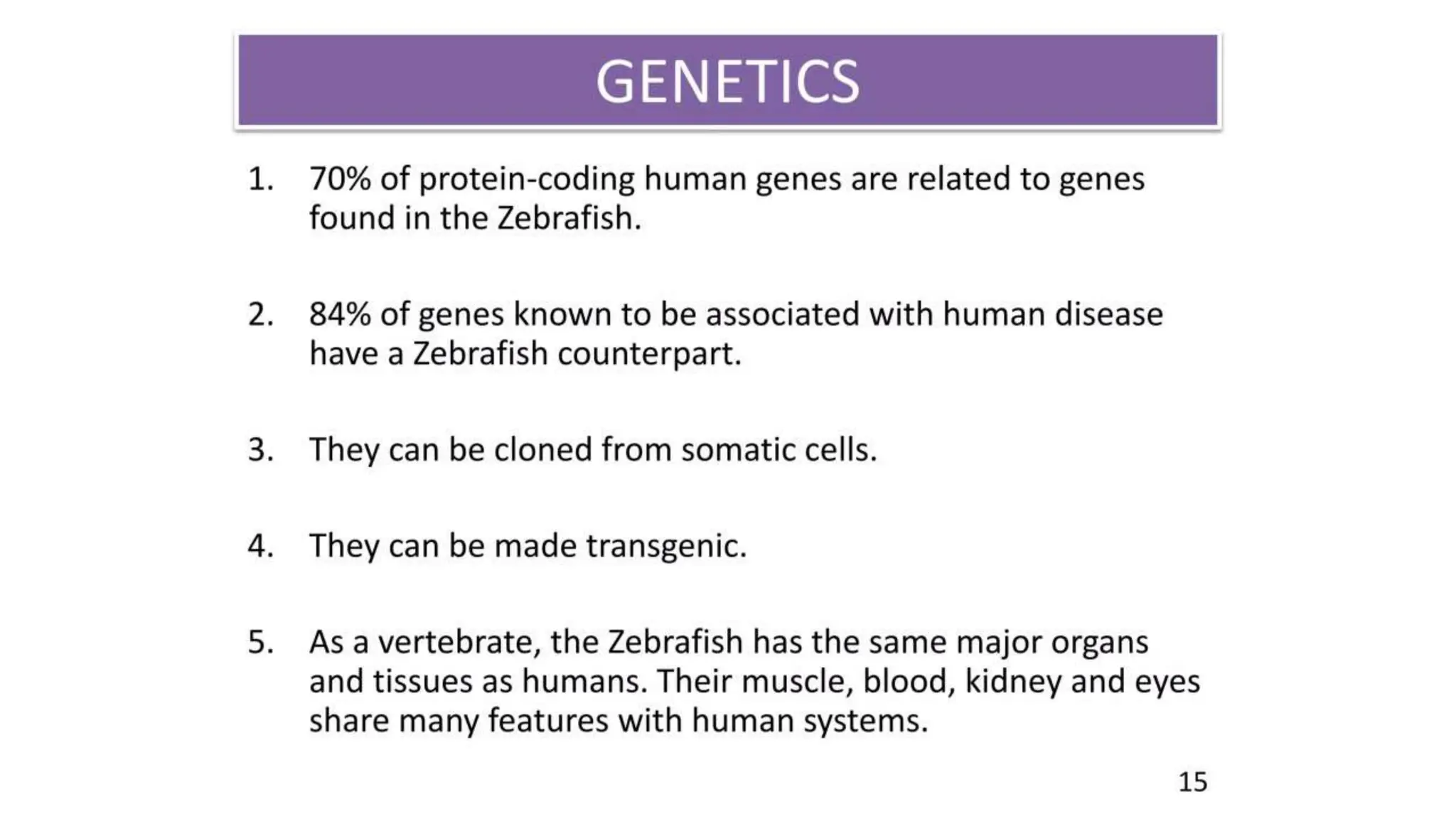 ZEBRA FISH: as model organism.pptx