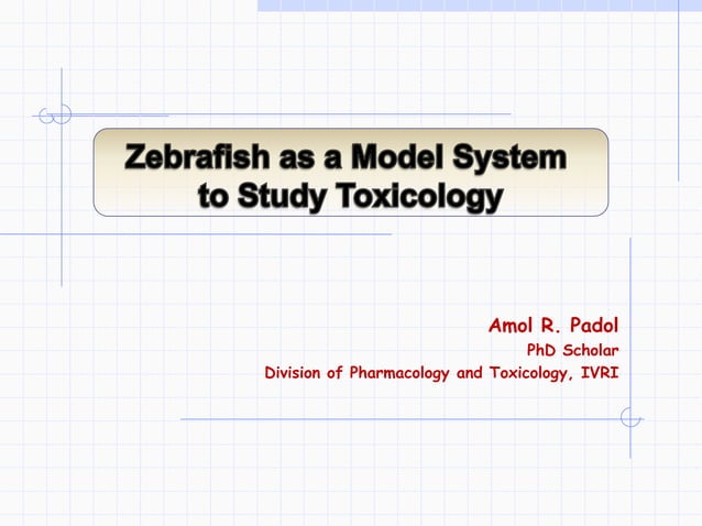 Zebrafish as a model system to study toxicology | PPTX