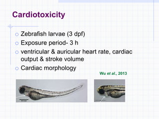 Zebrafish as a model system to study toxicology | PPTX