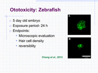 Zebrafish as a model system to study toxicology | PPTX