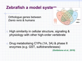 Zebrafish as a model system to study toxicology | PPTX