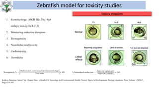 Zebra fish model | PPTX