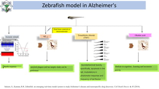 Zebra fish model | PPTX