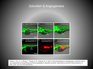 Zebrafish Model & Atherosclerosis | PPSX