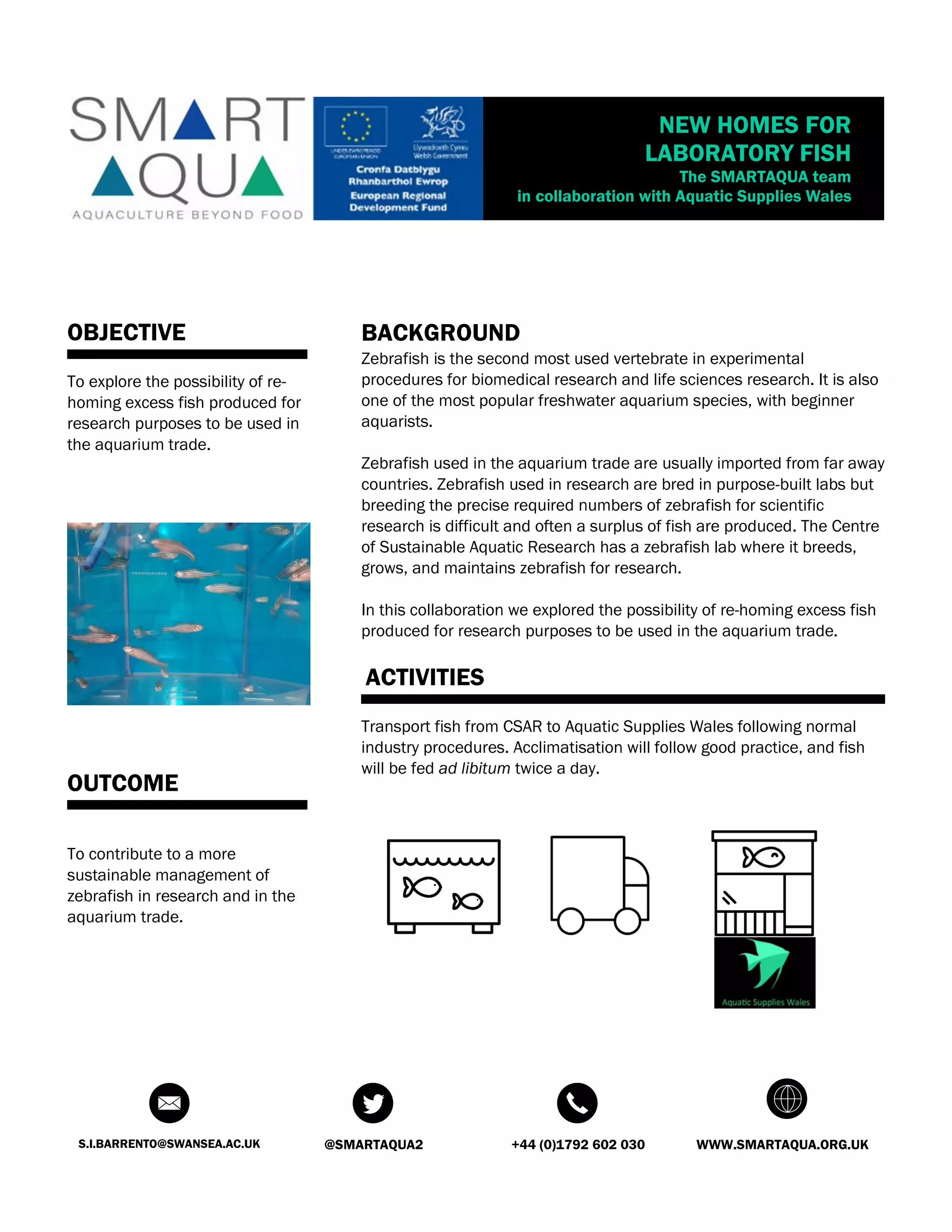 Zebrafish poster | PDF