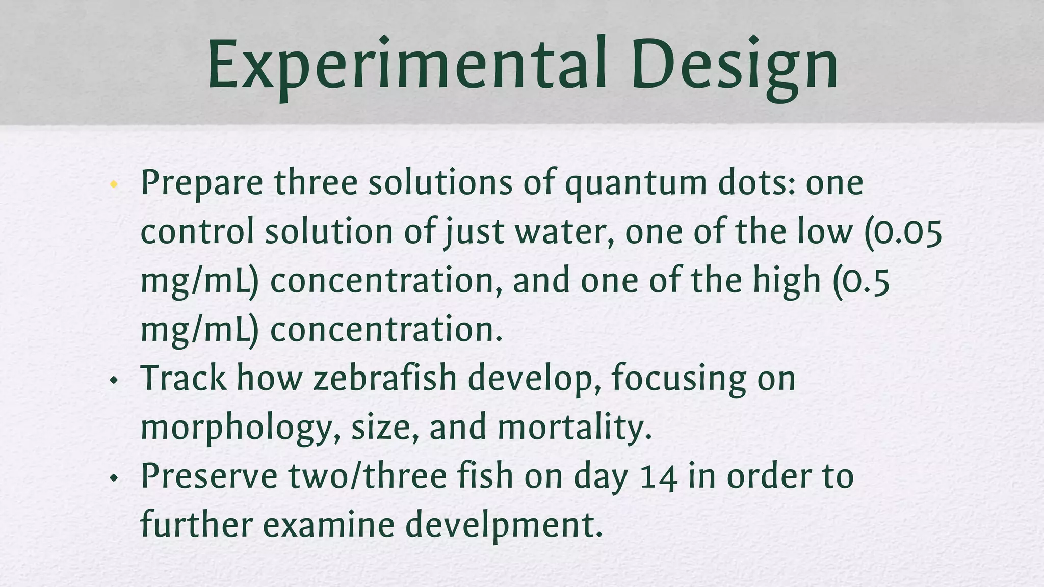 Effects of Quantum Dots on Zebrafish Development | PDF