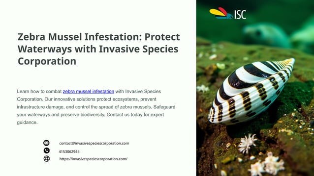 Zebra Mussel Infestation Protect Waterways with Invasive Species ...