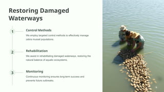 Zebra Mussel Infestation Protect Waterways with Invasive Species ...