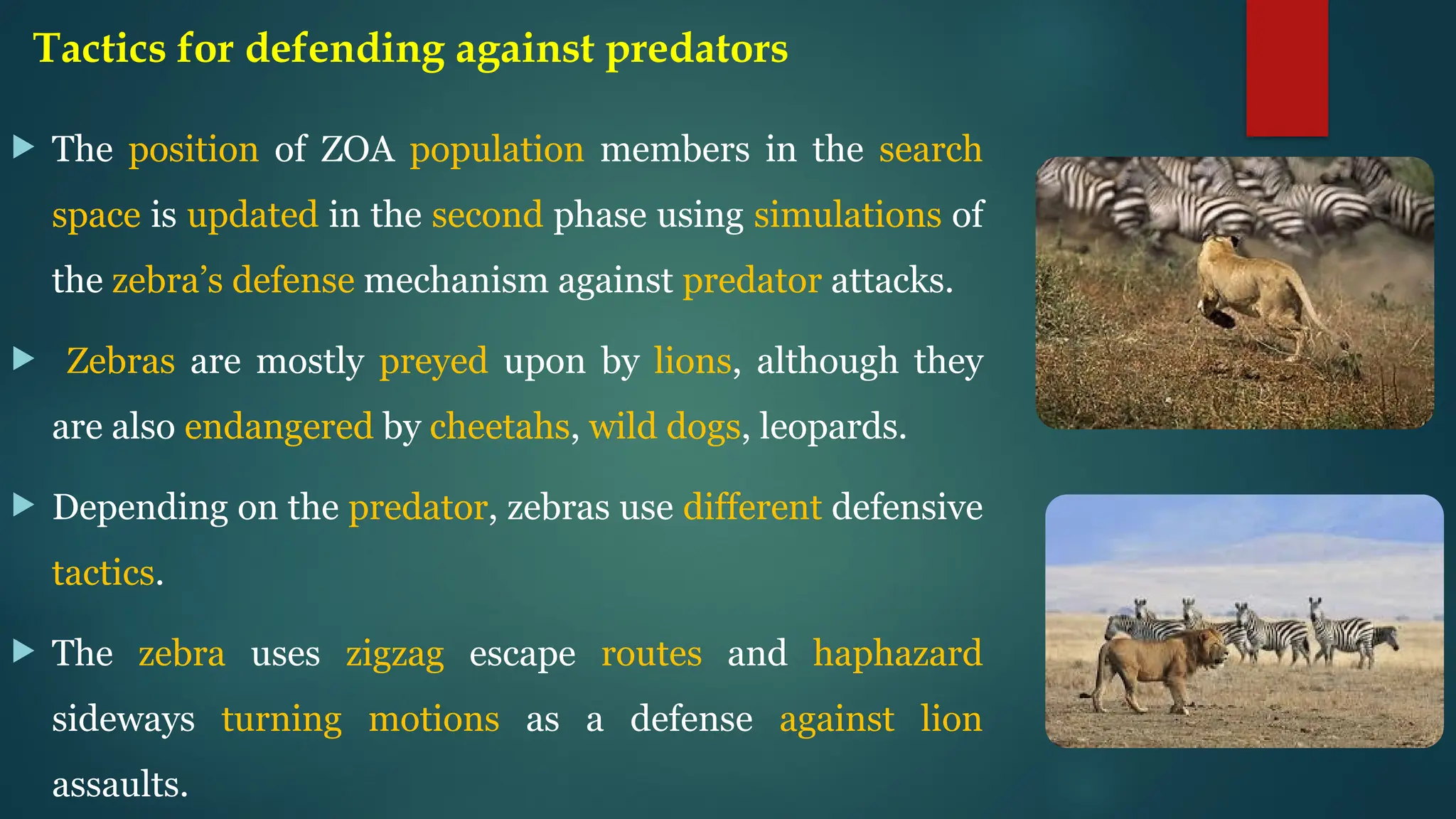 Zebra Optimization Algorithm (ZOA)).pptx