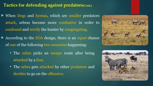 Zebra Optimization Algorithm (ZOA)).pptx