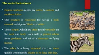 Zebra Optimization Algorithm (ZOA)).pptx