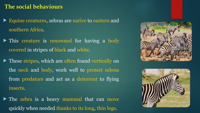 Zebra Optimization Algorithm (ZOA)).pptx