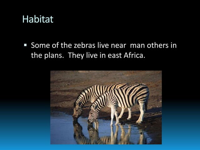 Zebra powerpoint | PPTX | Reptiles | Pets