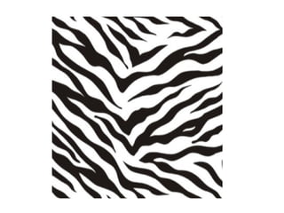 Zebra stripes | PPT