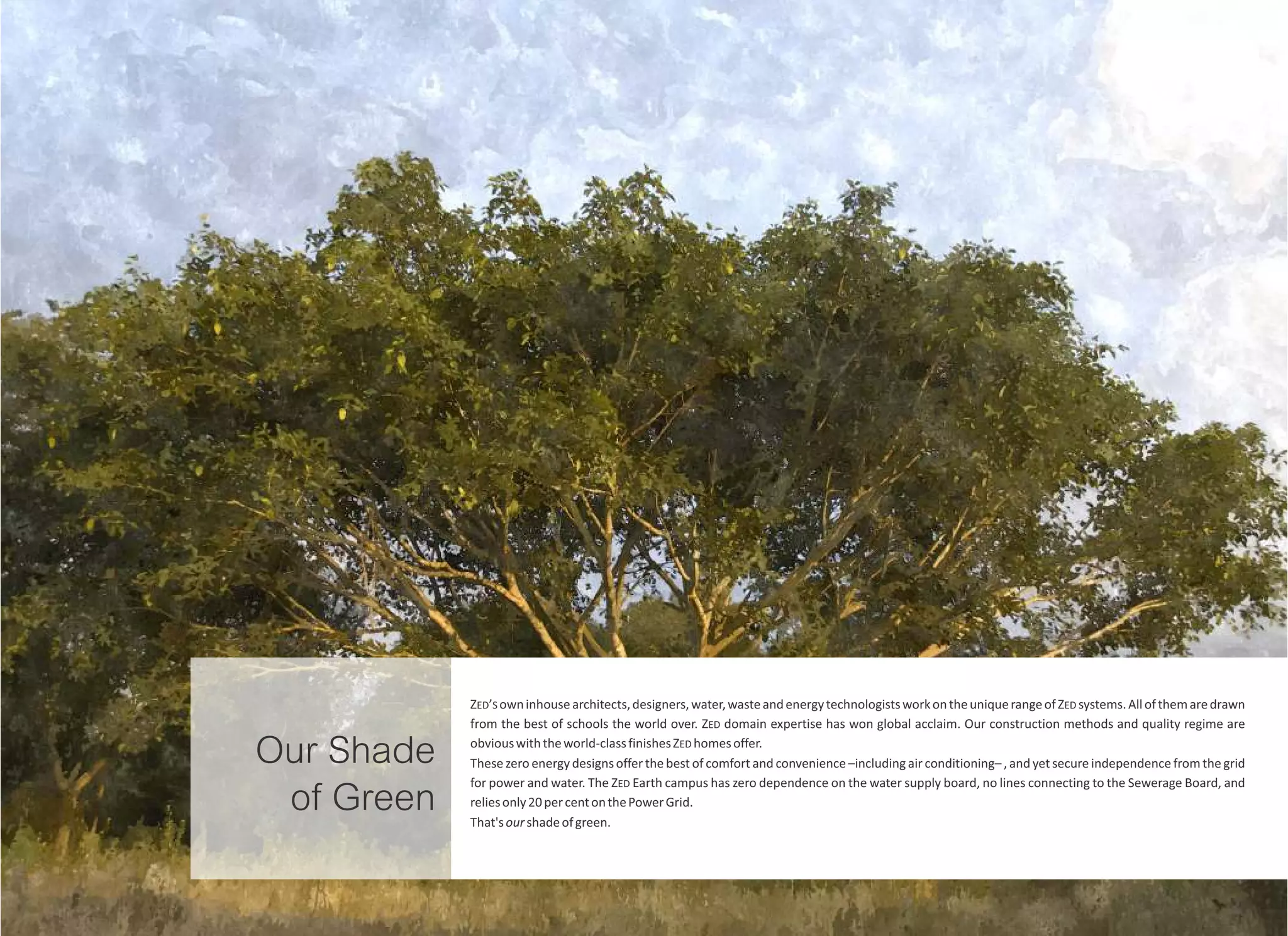 Zed Earth Brochure | PDF | Landscaping | Home & Garden