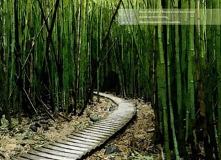 Zed Earth Brochure | PDF | Landscaping | Home & Garden