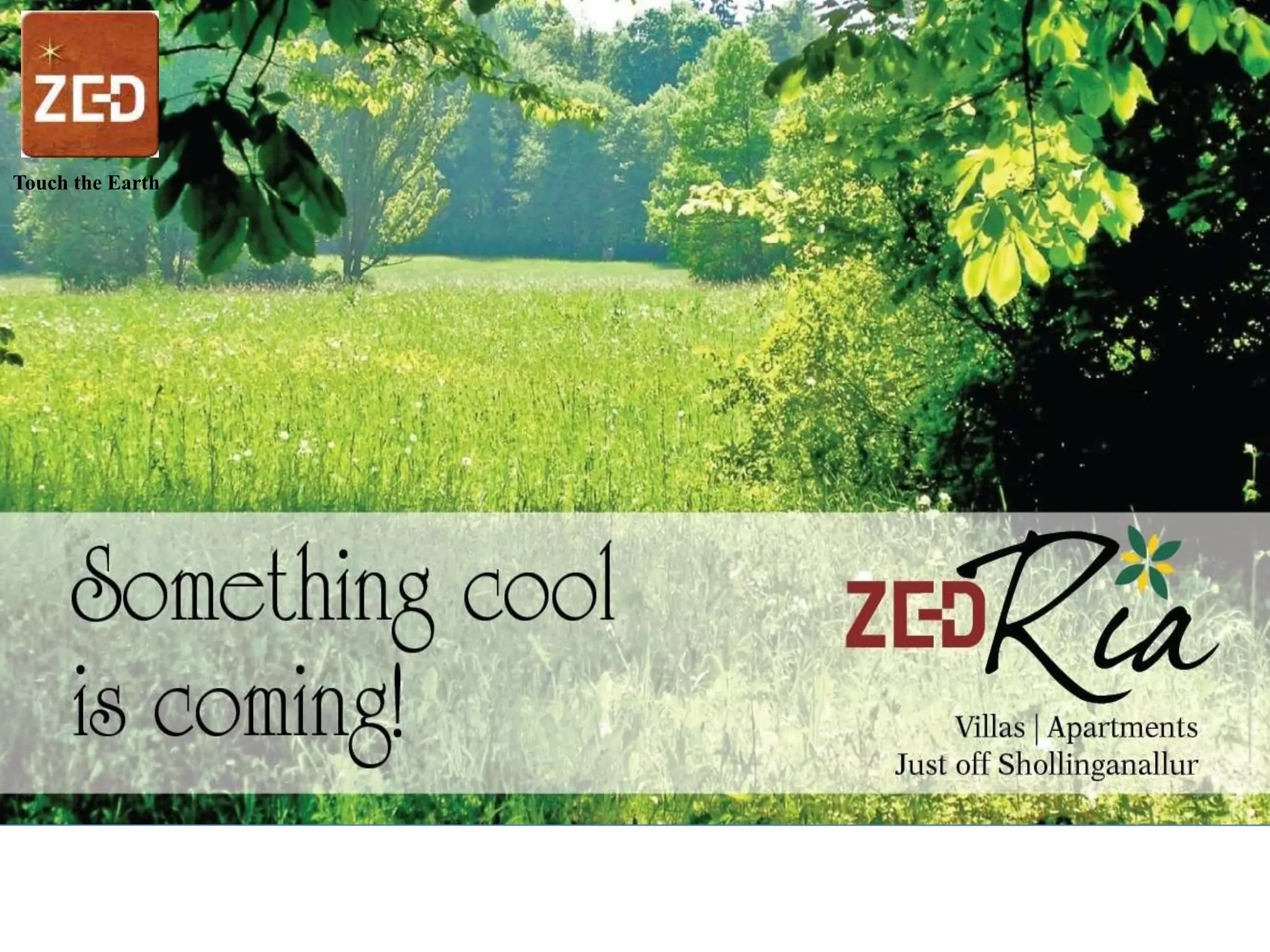 Zed ria marketing ppt | PPT