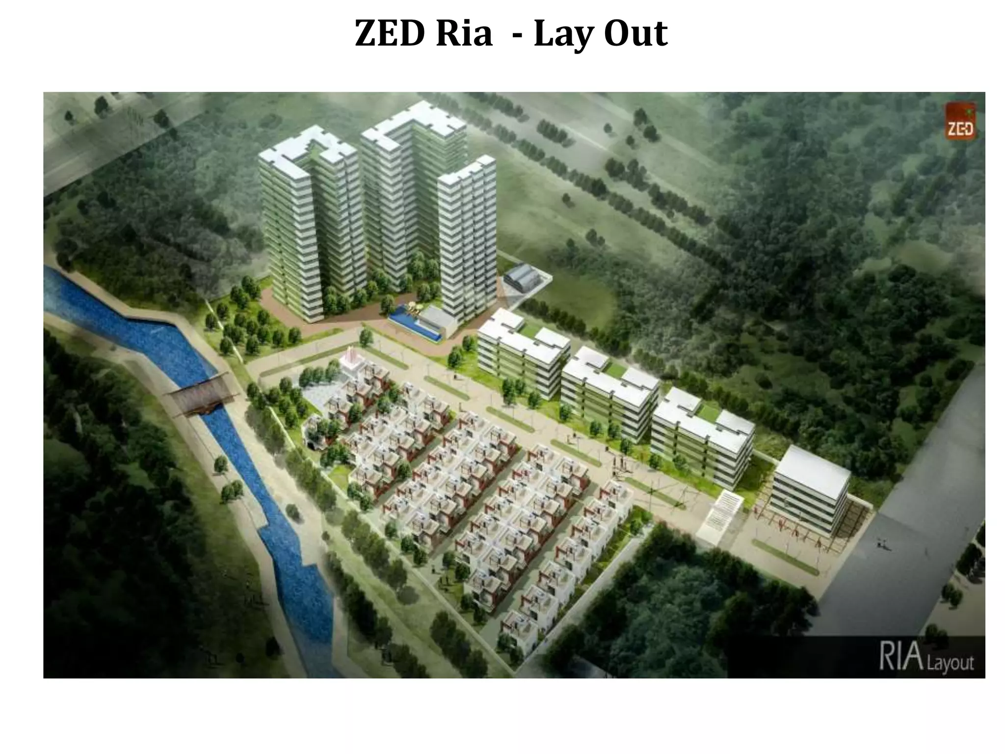 Zed ria marketing ppt | PPT