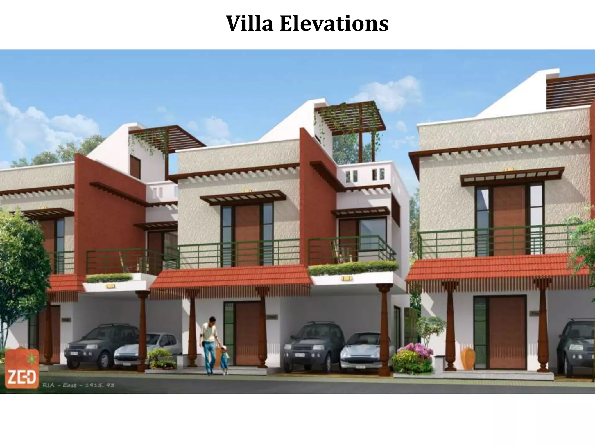 Zed ria marketing ppt | PPT