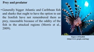 Lion fish and its meristic characteristics | PDF