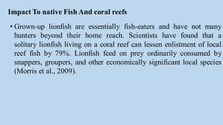Lion fish and its meristic characteristics | PDF