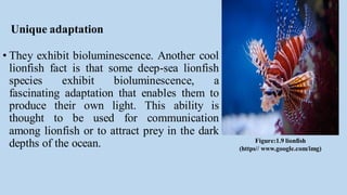 Lion fish and its meristic characteristics | PDF