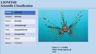 Lion fish and its meristic characteristics | PDF