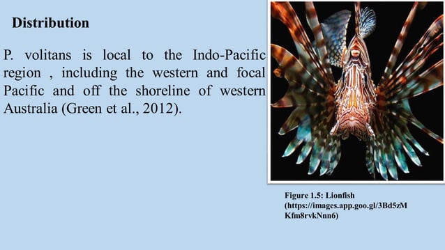 Lion fish and its meristic characteristics | PDF | Zoos & Aquariums ...