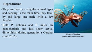 Lion fish and its meristic characteristics | PDF | Zoos & Aquariums ...