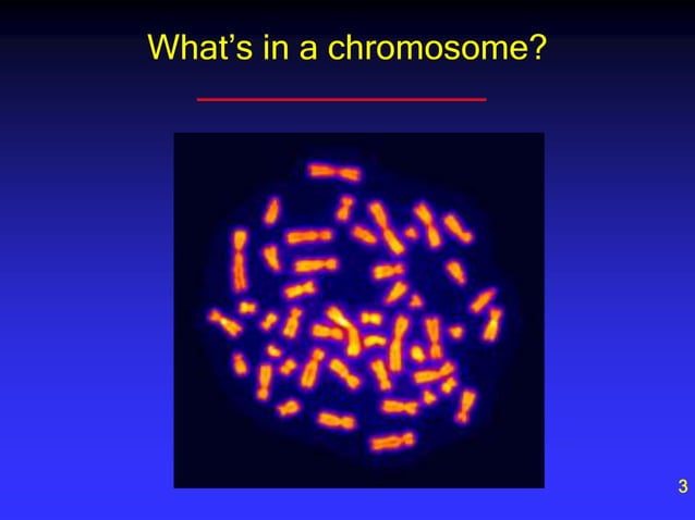 Lecture Bioinformatics Part2next Generation Ppt