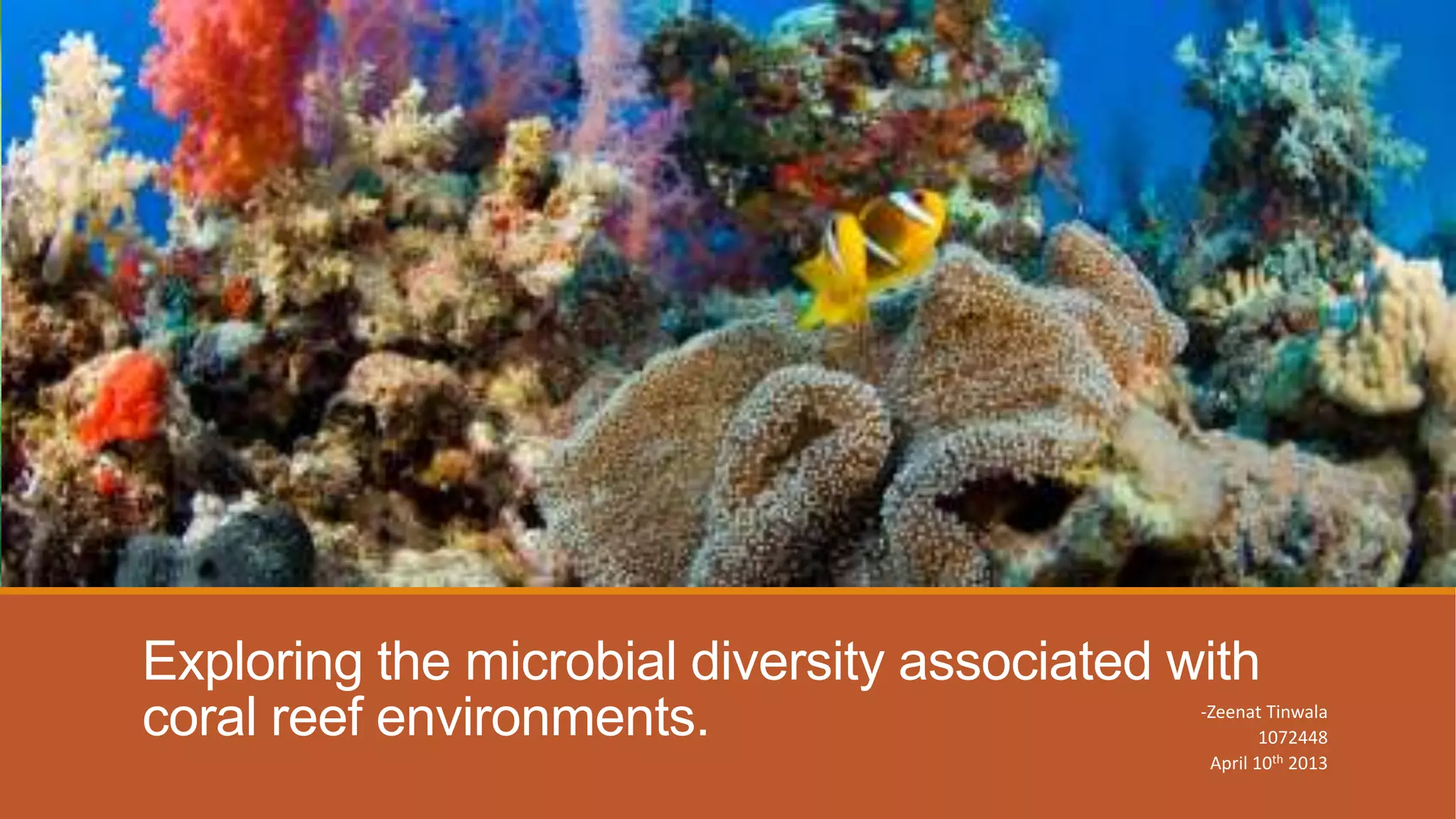 Exploring the microbial diversity associated with coral reef ...