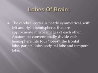 Man as Biological, Psychological and Social Unit | PPTX