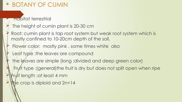 Zeera Presentation or Cumin Presentation.pptx